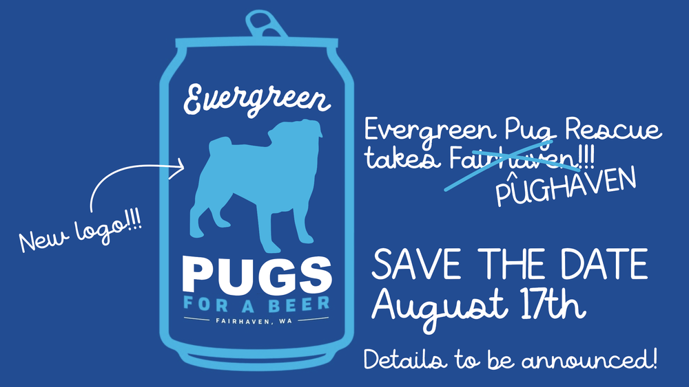 Pugs For A Beer – Bellingham, WA – Evergreen Pug Rescue