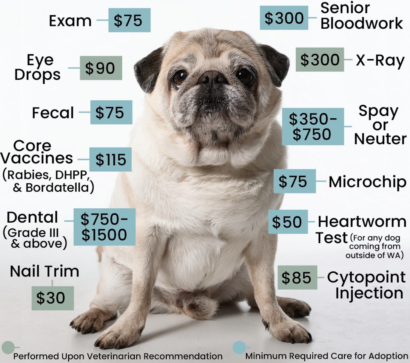 Adoption Fees – Evergreen Pug Rescue